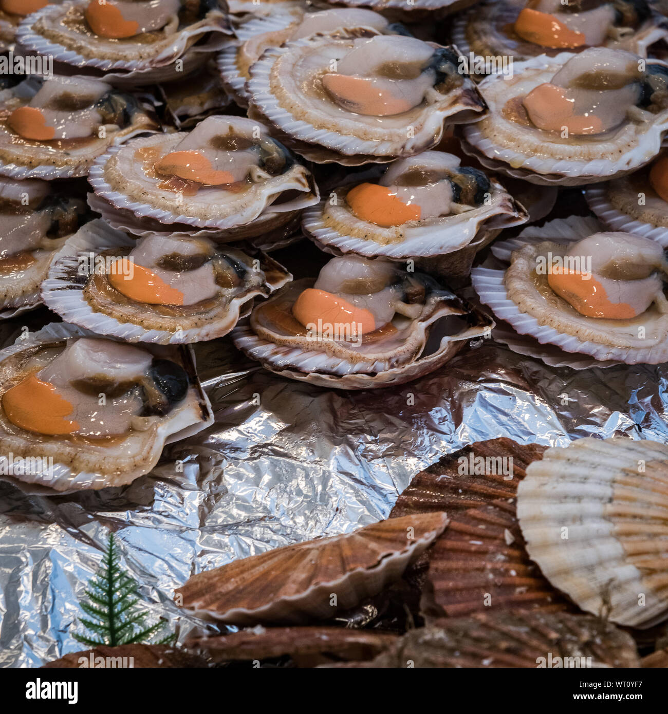 Fresh coquilles hi-res stock photography and images - Alamy