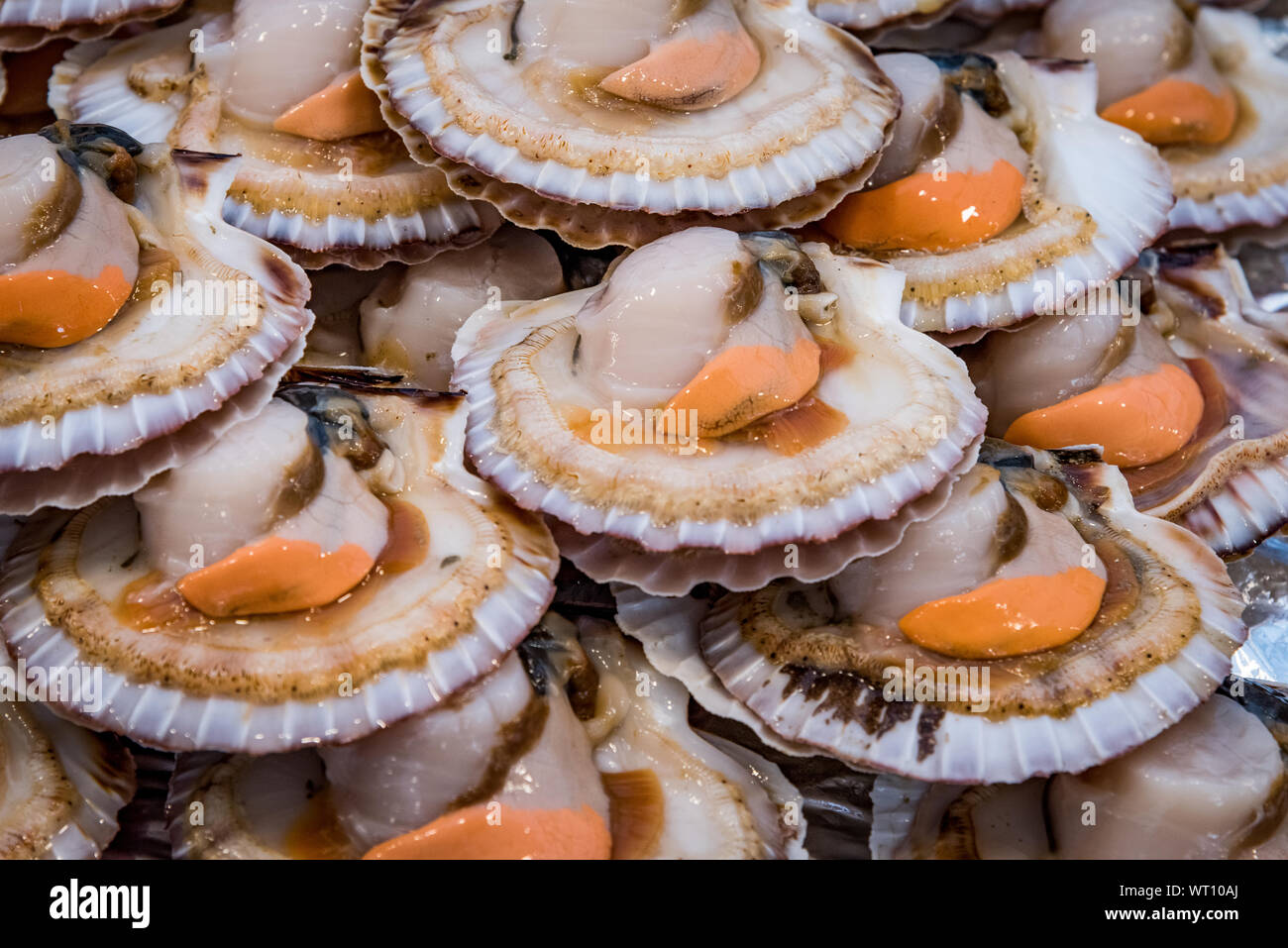 Fresh scallops on the half shell, street market,Paris suburbs Stock ...