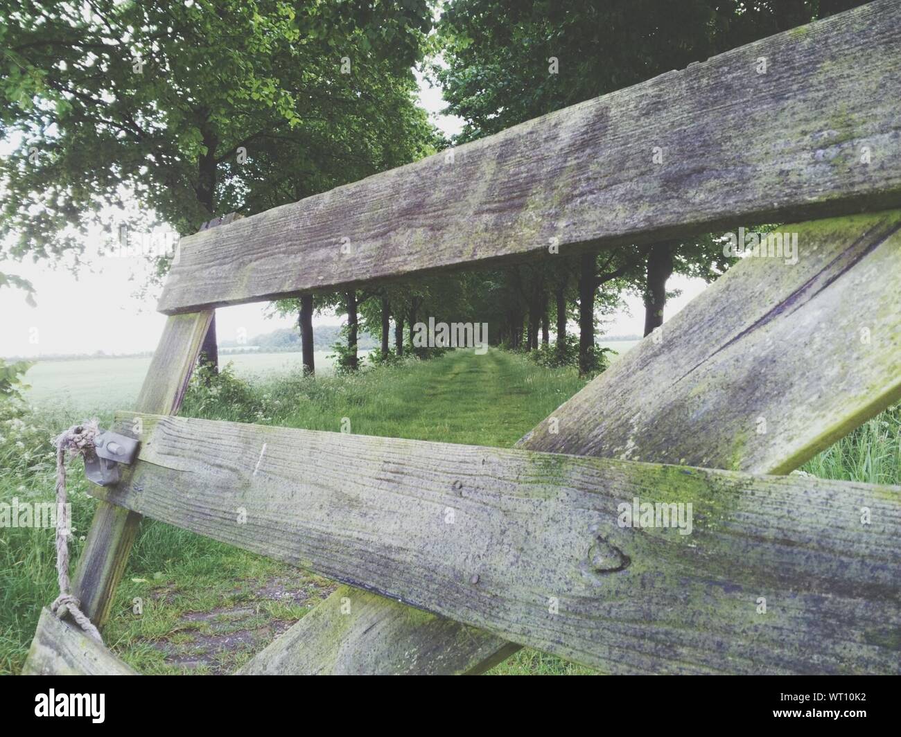 Gate farm hi-res stock photography and images - Alamy