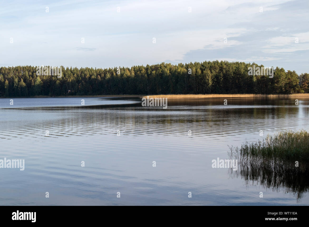 Lake Saimaa scenery, Lappeenranta Finland Stock Photo - Alamy