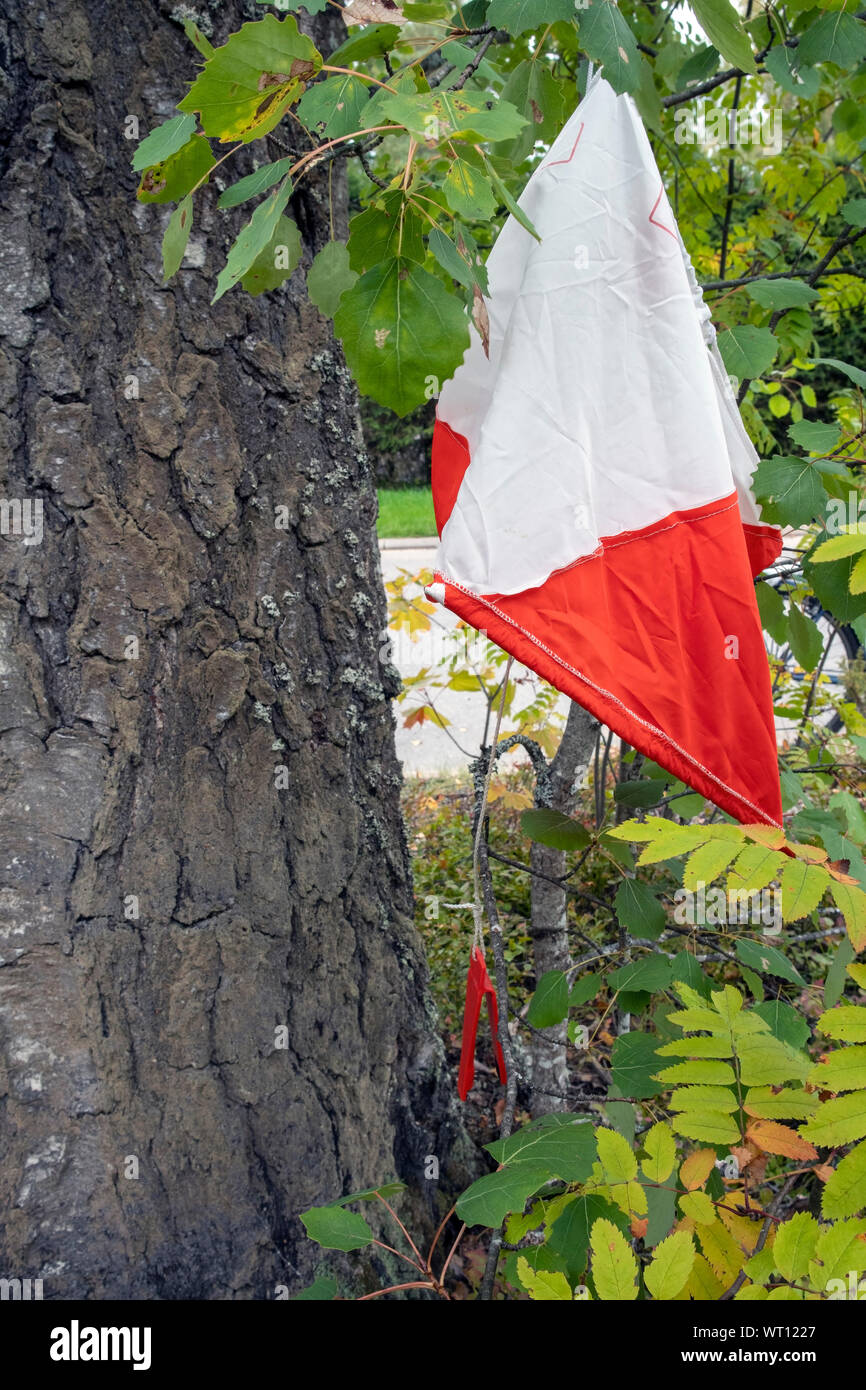 Orienteering flag hi-res stock photography and images - Alamy