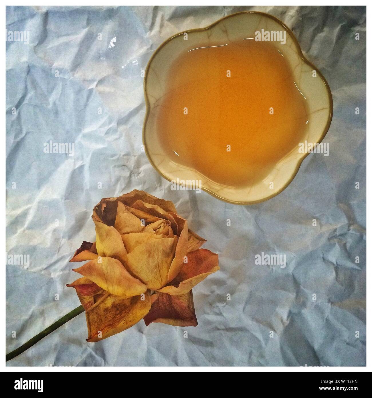 Liquid paper hi-res stock photography and images - Alamy