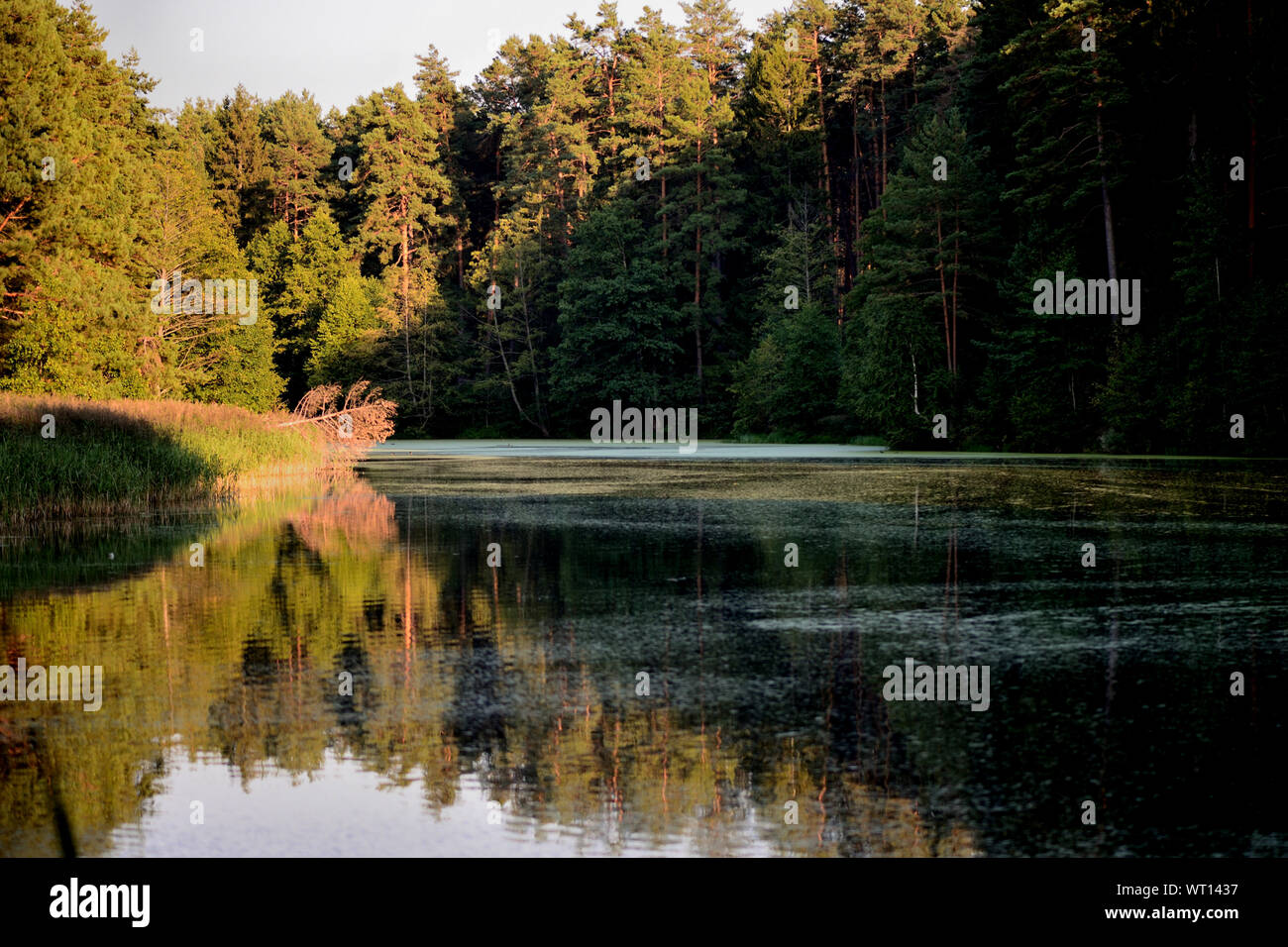 Beautiful lake landscape surface pond hi-res stock photography and ...