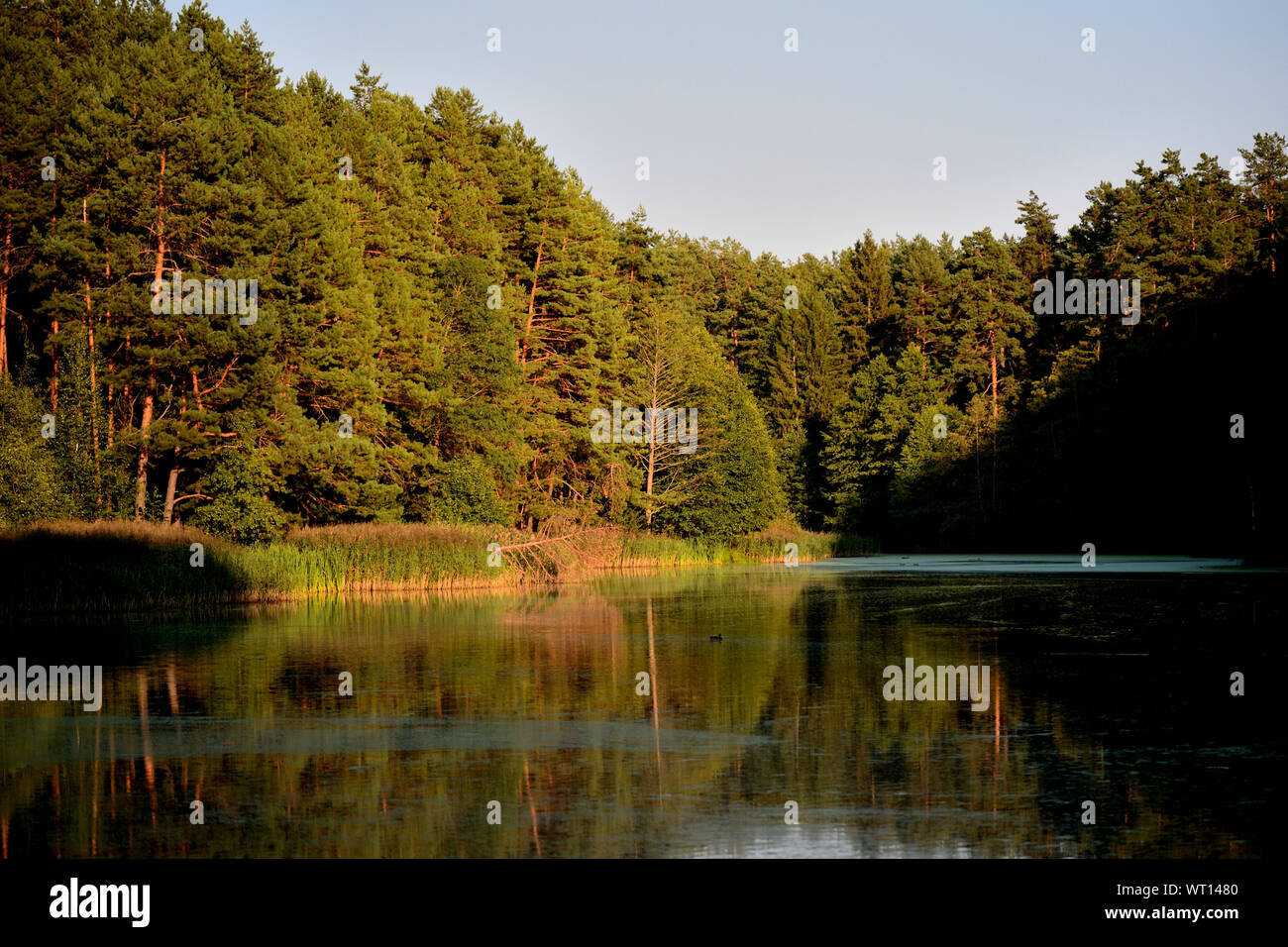 Beautiful lake landscape surface pond hi-res stock photography and ...