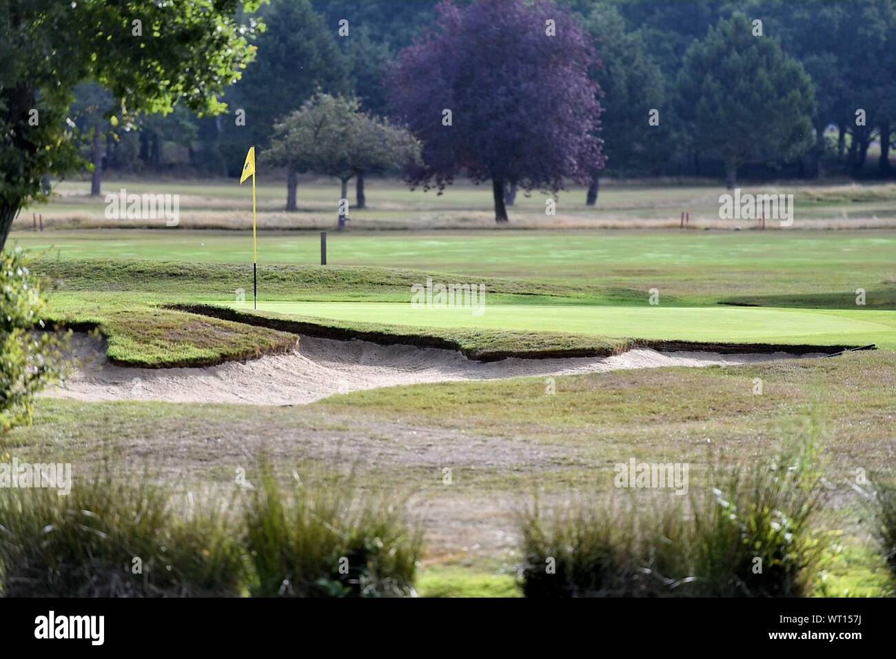 Yellow golf flag hi-res stock photography and images - Alamy
