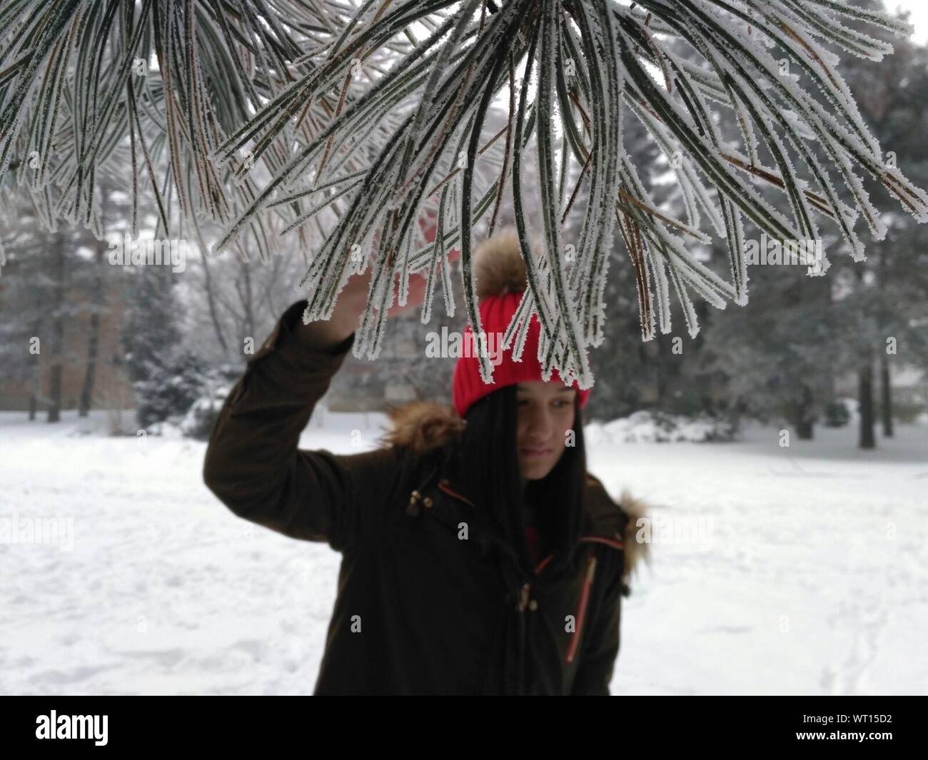 Woman snow pine tree hi-res stock photography and images - Alamy