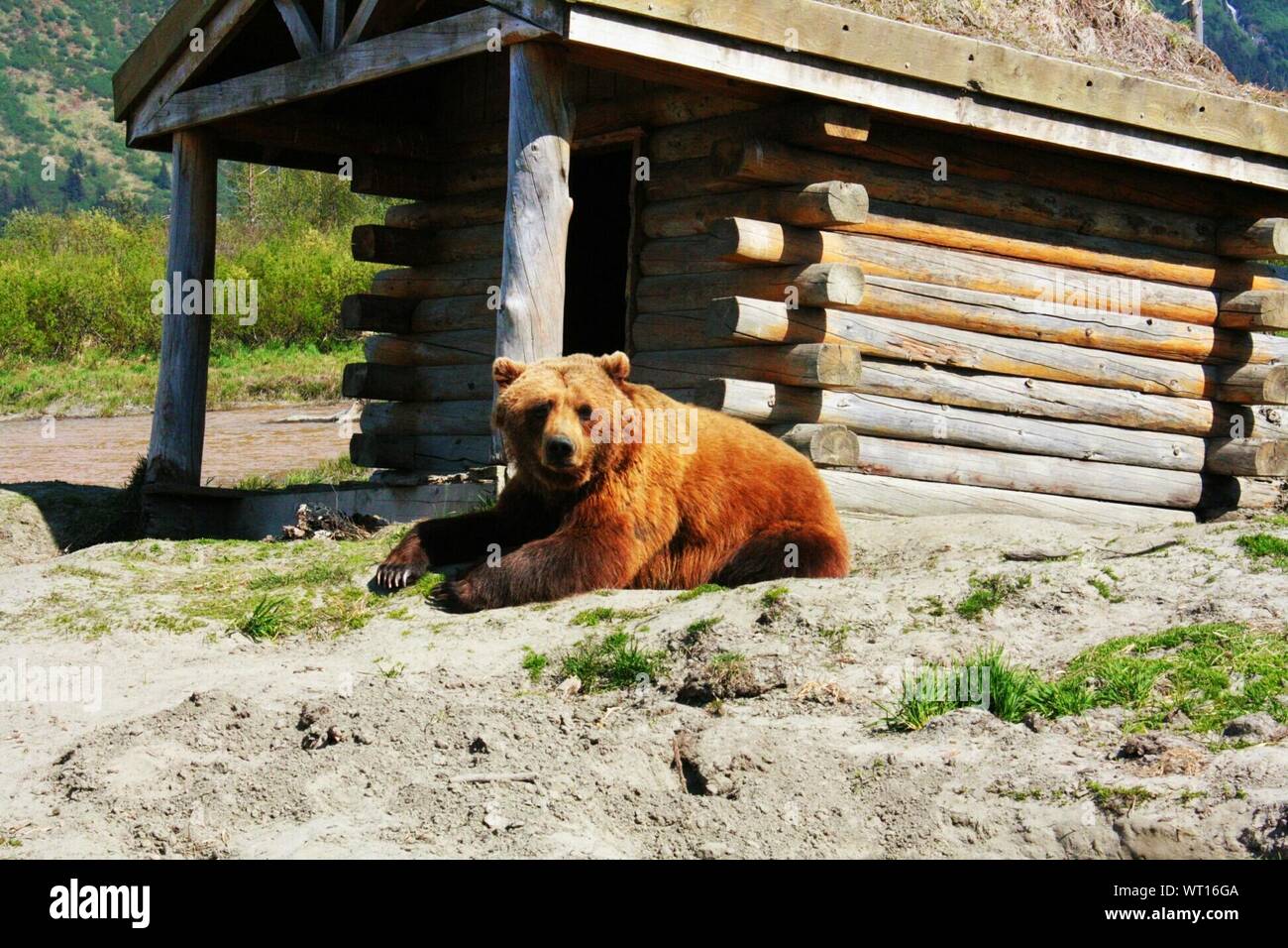 Resting outside hi-res stock photography and images - Alamy