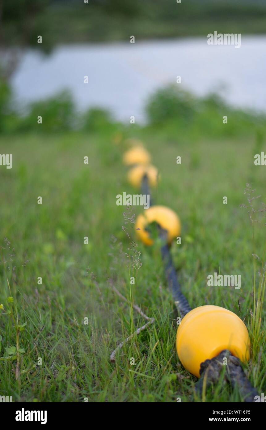 Rope Grass High Resolution Stock Photography and Images - Alamy