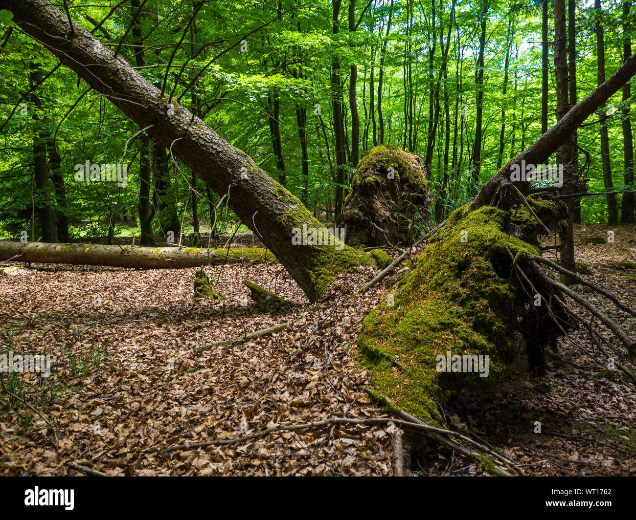 Slanted hi-res stock photography and images - Alamy