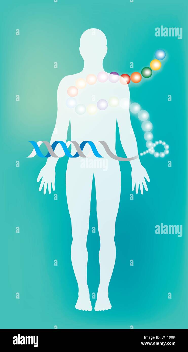 Protein Structure. Infographic Illustration Stock Vector Image & Art ...