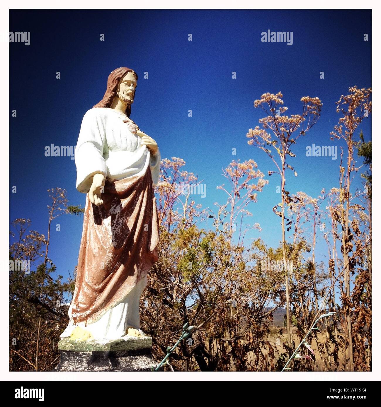Blue jesus hi-res stock photography and images - Alamy