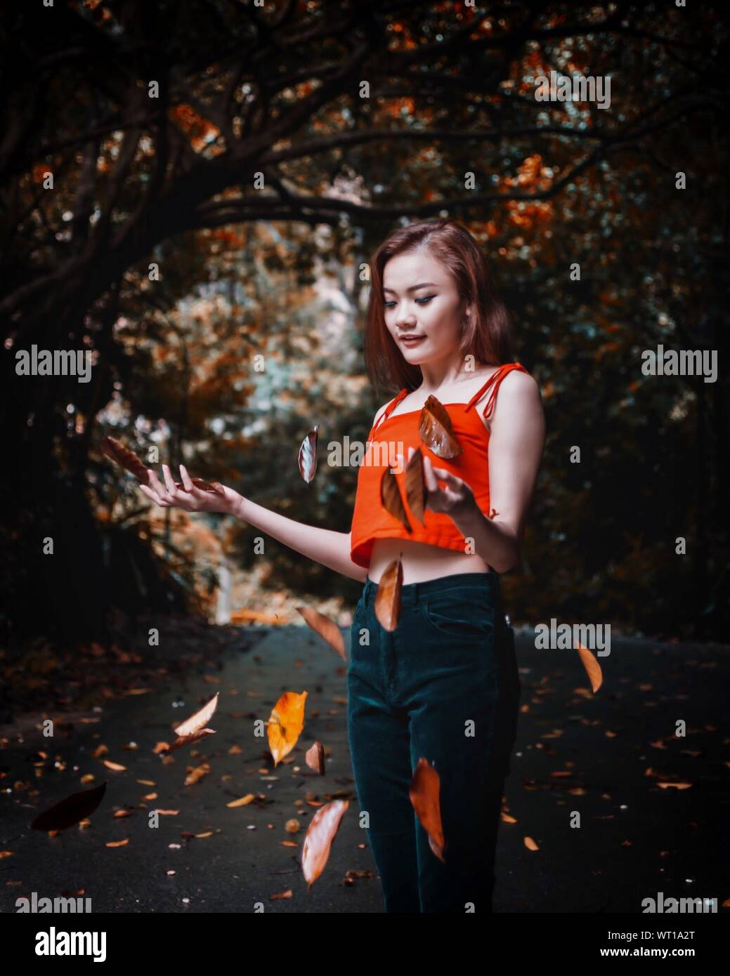 Throwing leaf hi-res stock photography and images - Alamy