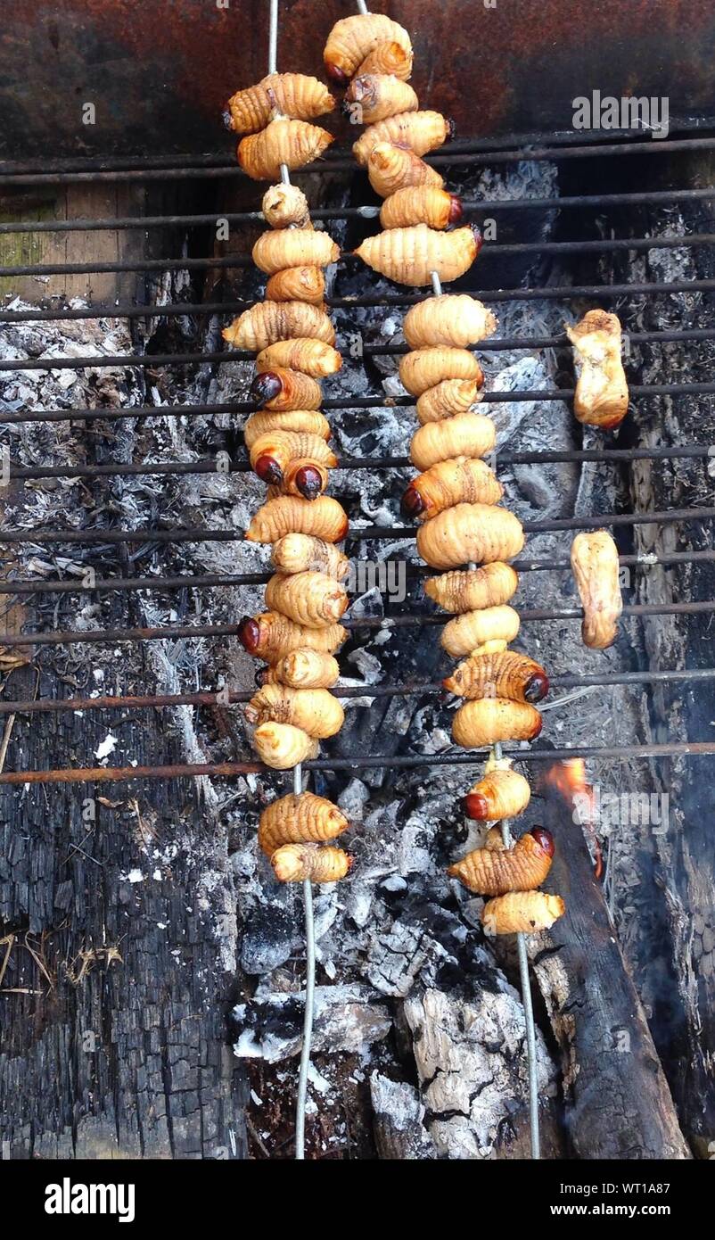 Grilled Worms High Resolution Stock Photography and Images - Alamy