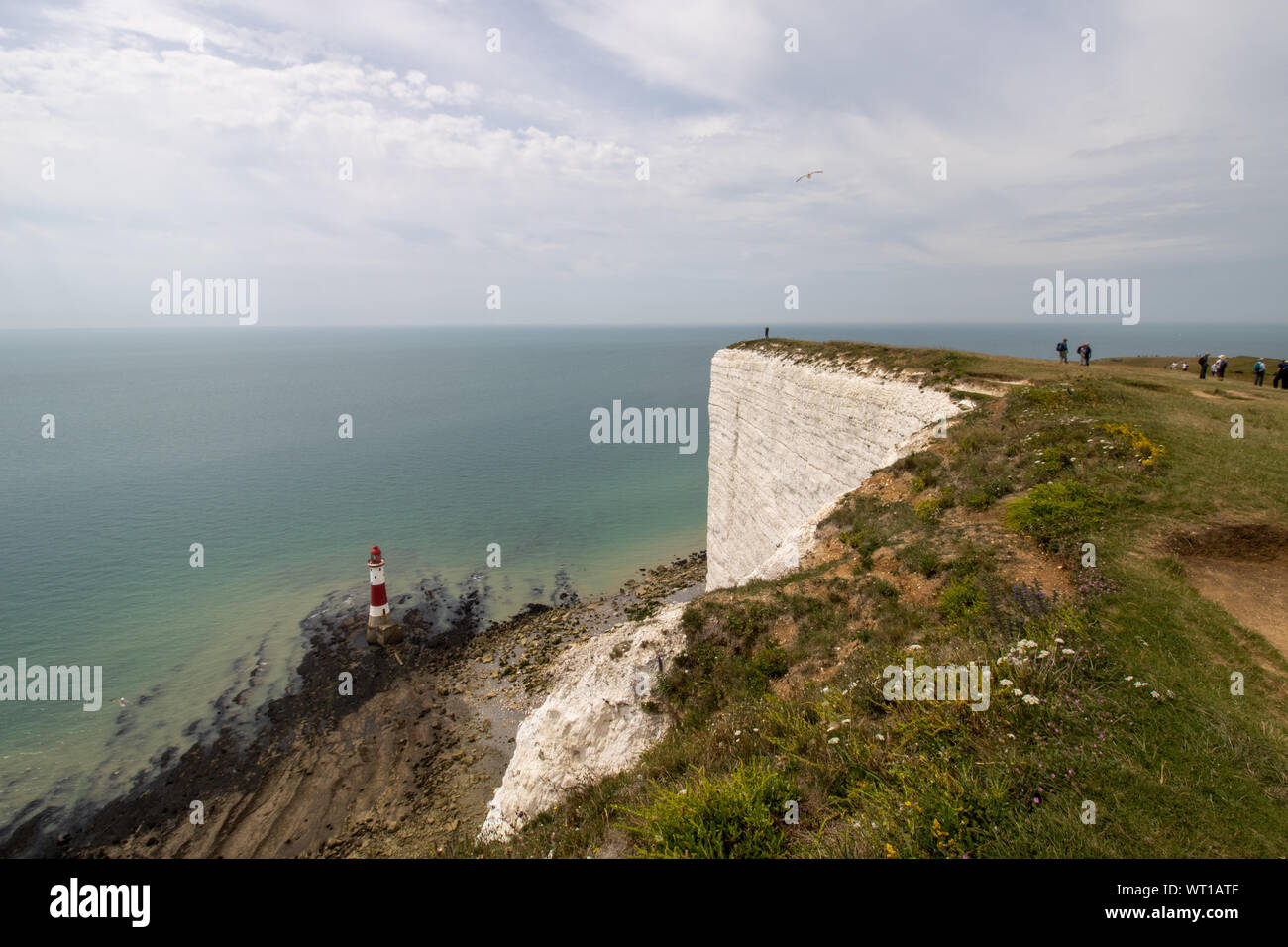 Beachy Head cliff face, the cliff is the highest chalk sea cliff in ...