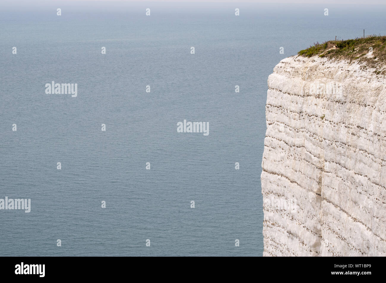 Beachy Head cliff face, the cliff is the highest chalk sea cliff in ...