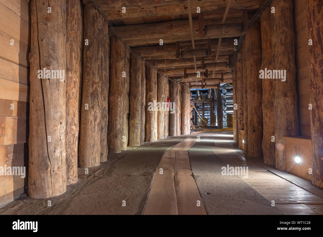 Sculptures in wieliczka salt mine hi-res stock photography and images ...