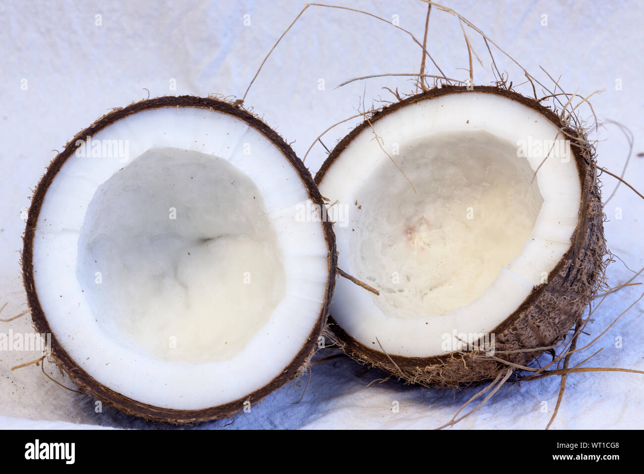 cut the coconut in half on a white background. cut in half and coconut ...