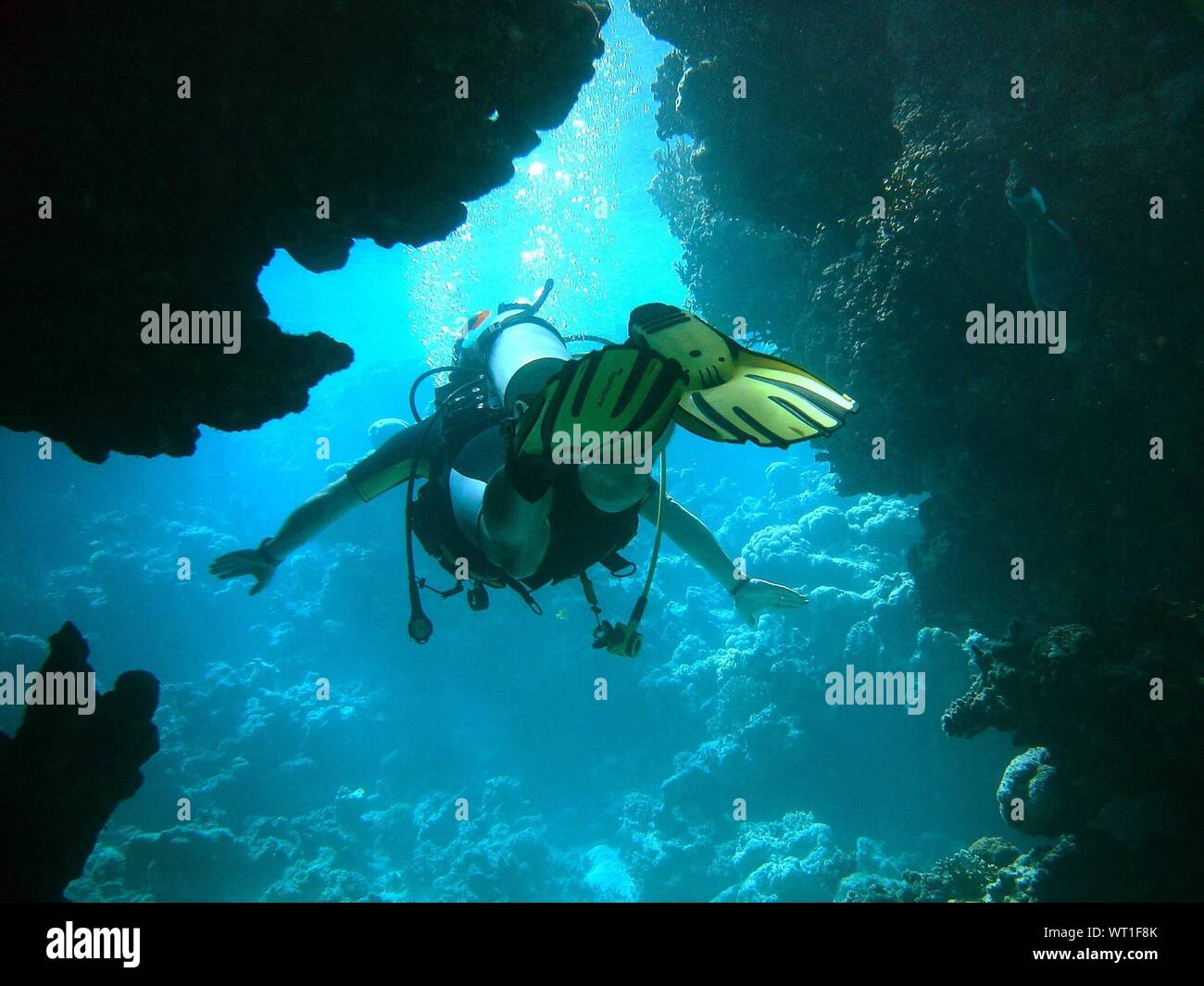 Diving red sea hi-res stock photography and images - Alamy