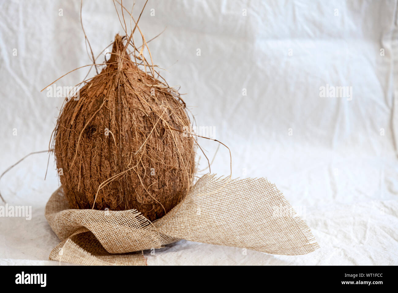 cut the coconut in half on a white background. cut in half and coconut ...