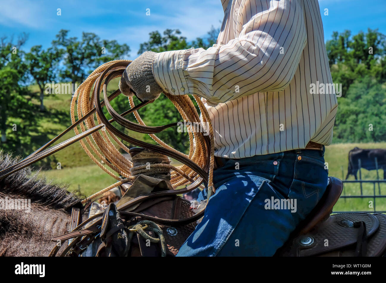 Cowboy on his horse hi-res stock photography and images - Alamy