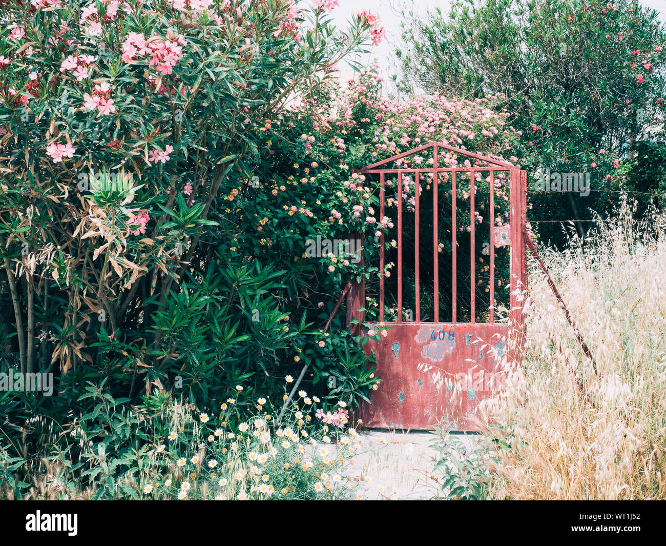 Gate Amidst Garden Plants Stock Photo - Alamy