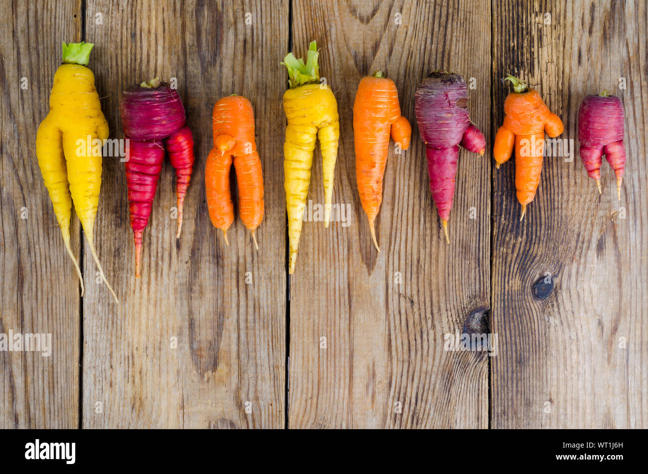 Ugly, deformed fresh organic carrots different color. Studio Photo ...