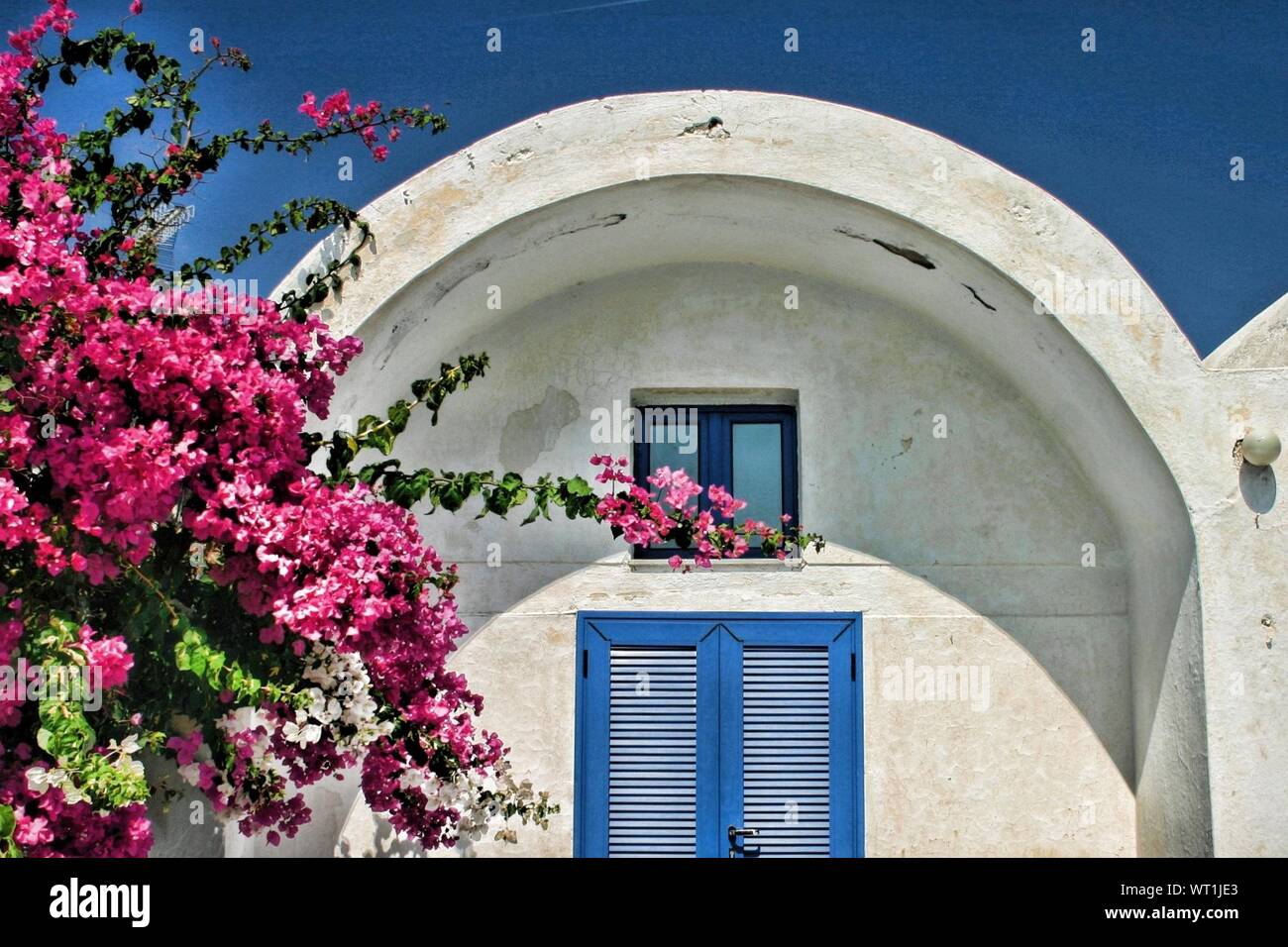 Structure of flower hi-res stock photography and images - Alamy
