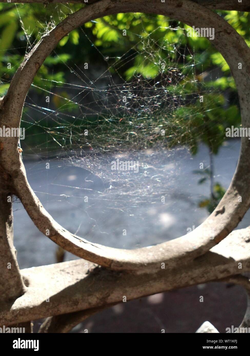 Spider On Railing High Resolution Stock Photography and Images - Alamy