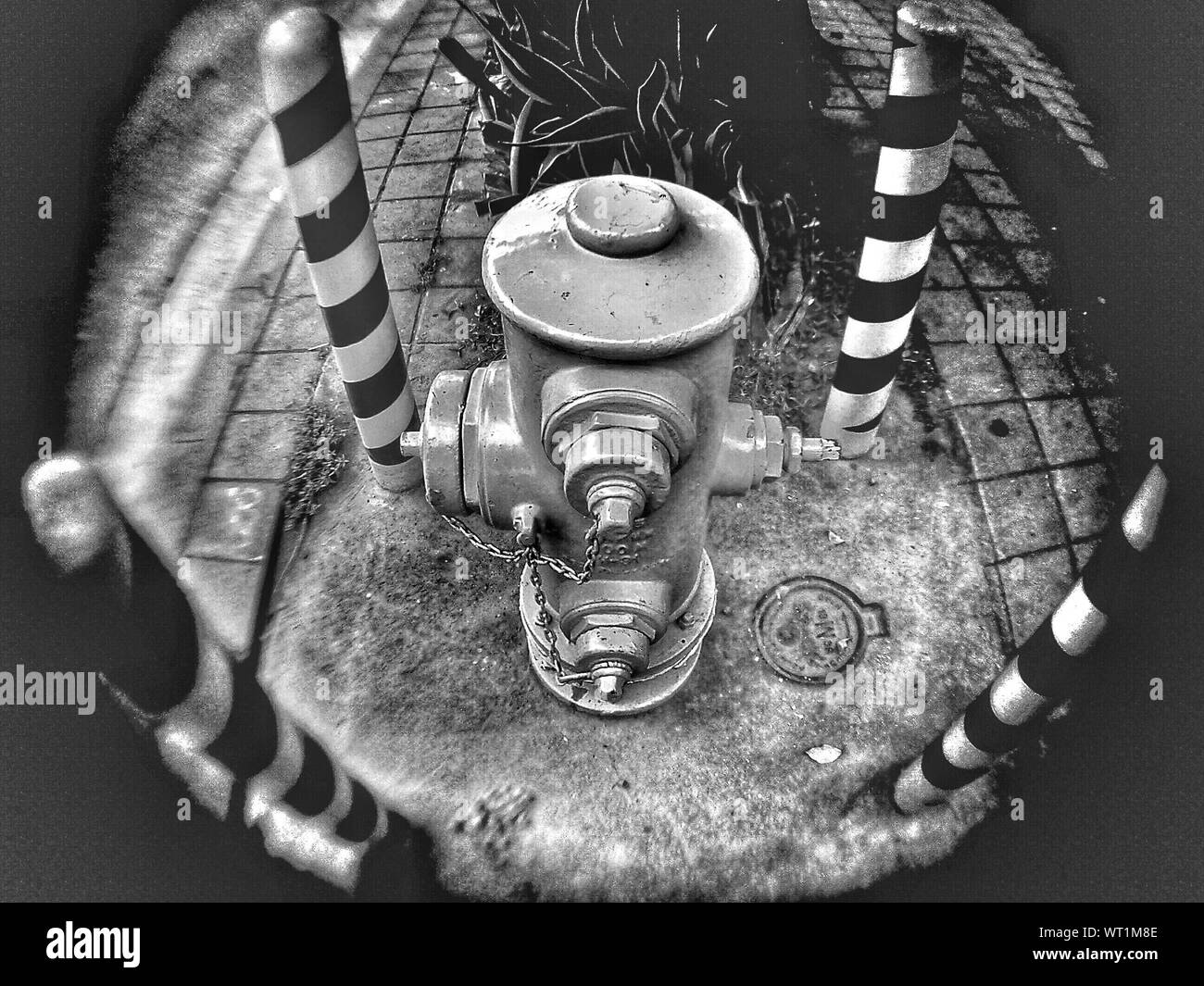 The bollards Black and White Stock Photos & Images - Alamy