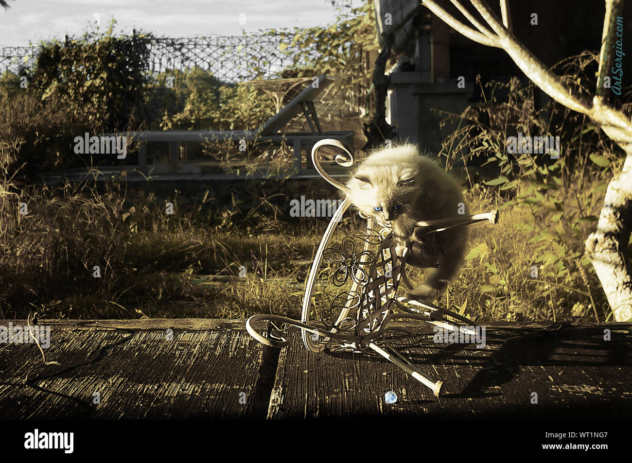 Fallen Chair High Resolution Stock Photography and Images - Alamy