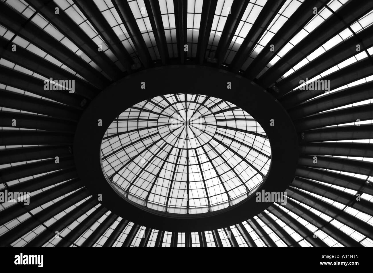 Transparent ceiling hi-res stock photography and images - Alamy