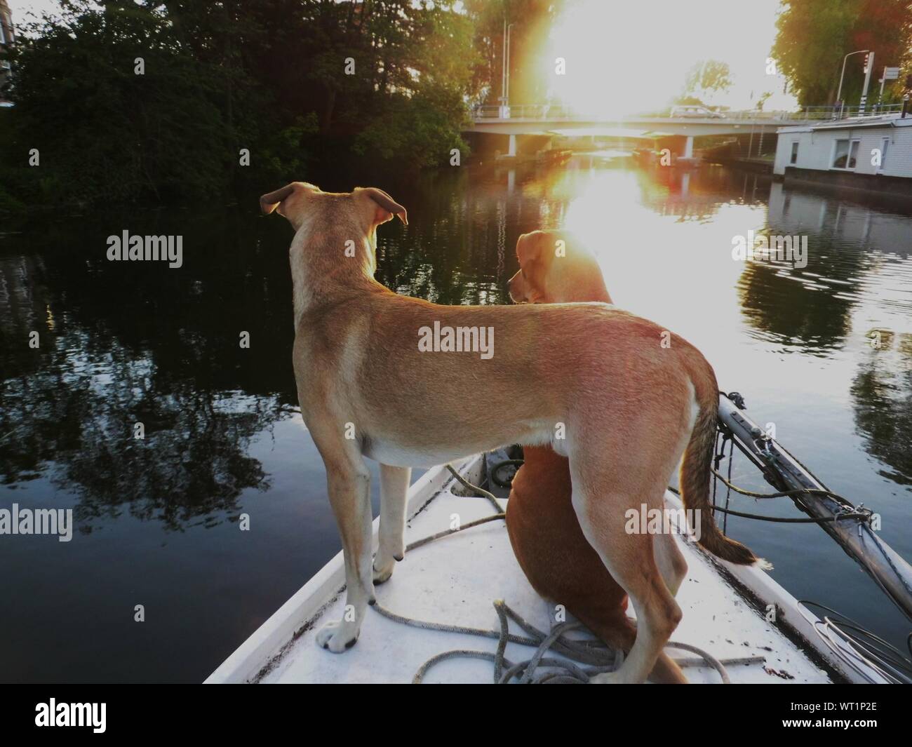 Two deck boat hi-res stock photography and images - Alamy