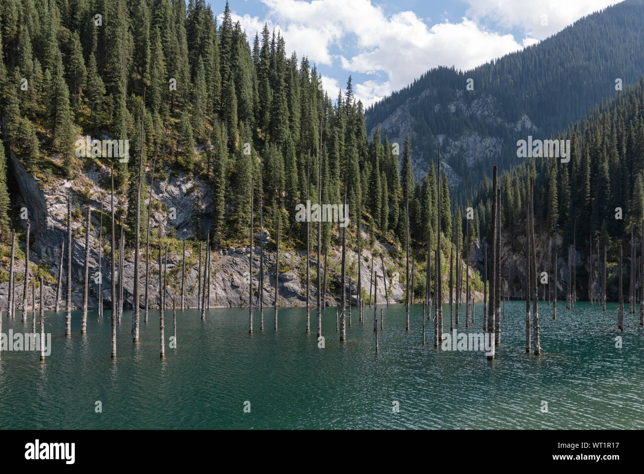 Aerial Footage Of Kaindy Lake And Sunken Forest In Kazakhstan Stock
