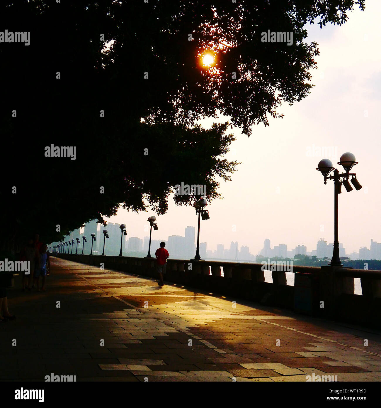 Lamp post pathway hi-res stock photography and images - Alamy