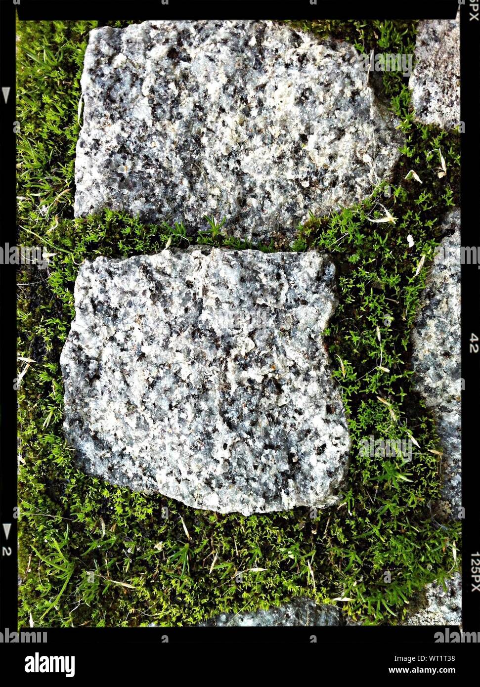 White stepping stones hi-res stock photography and images - Alamy