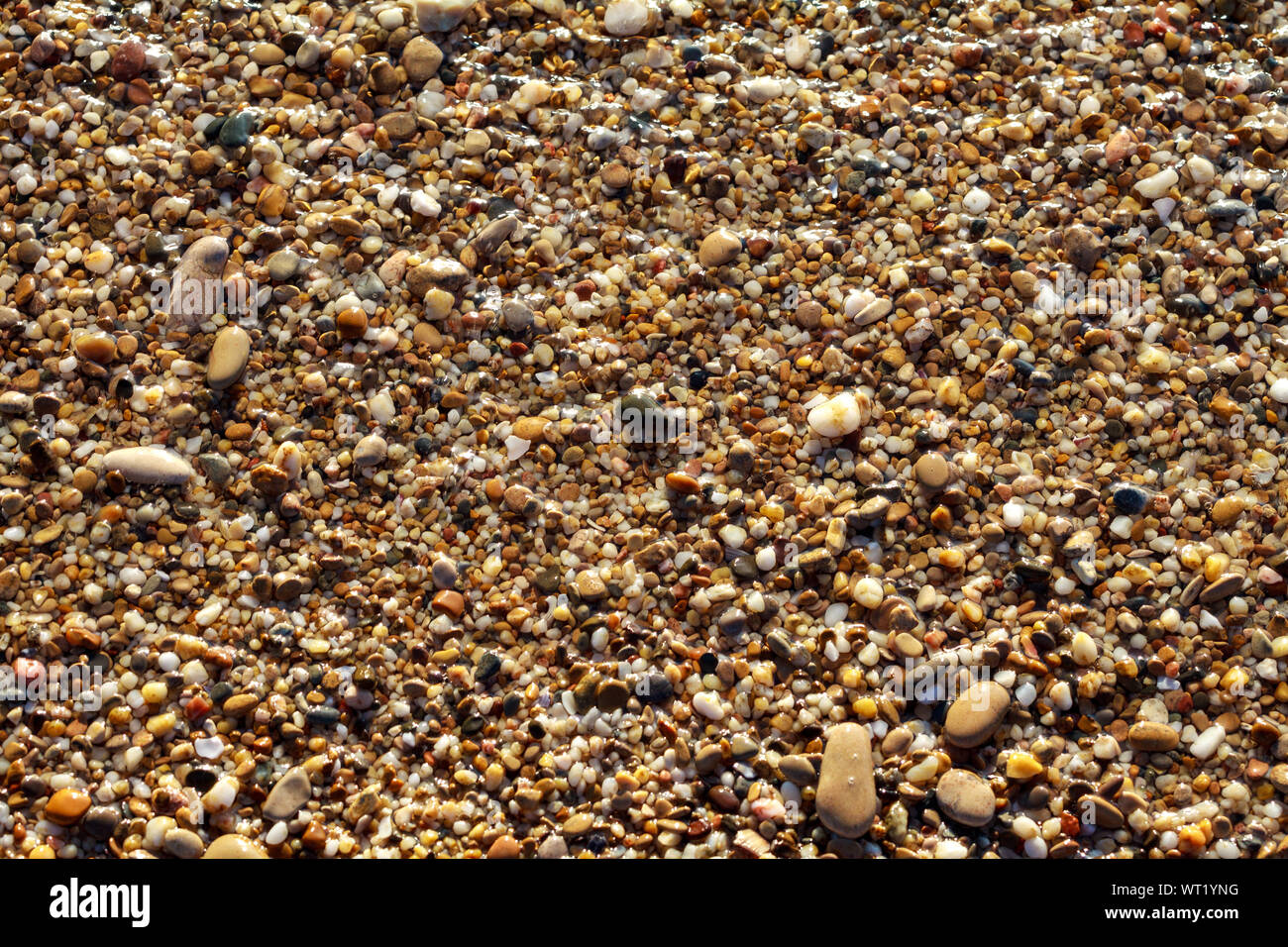 sea pebbles colored granite on the beach background stones. The shore ...
