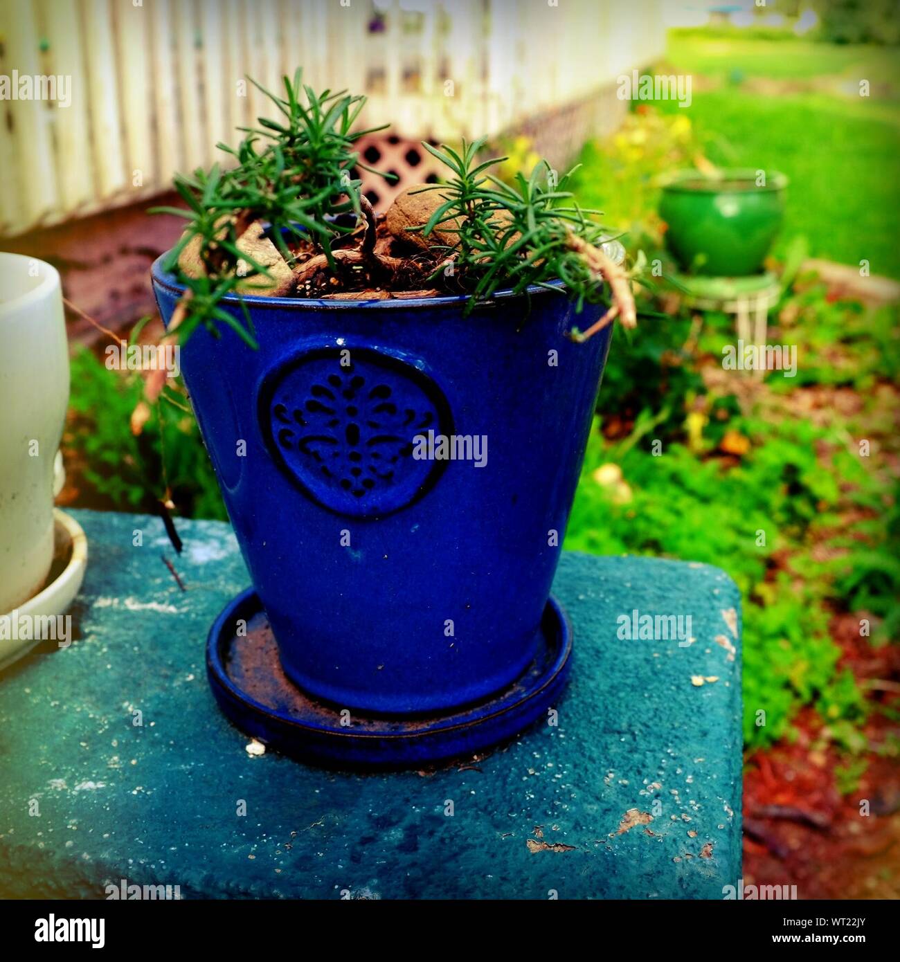 Blue yard hi-res stock photography and images - Alamy