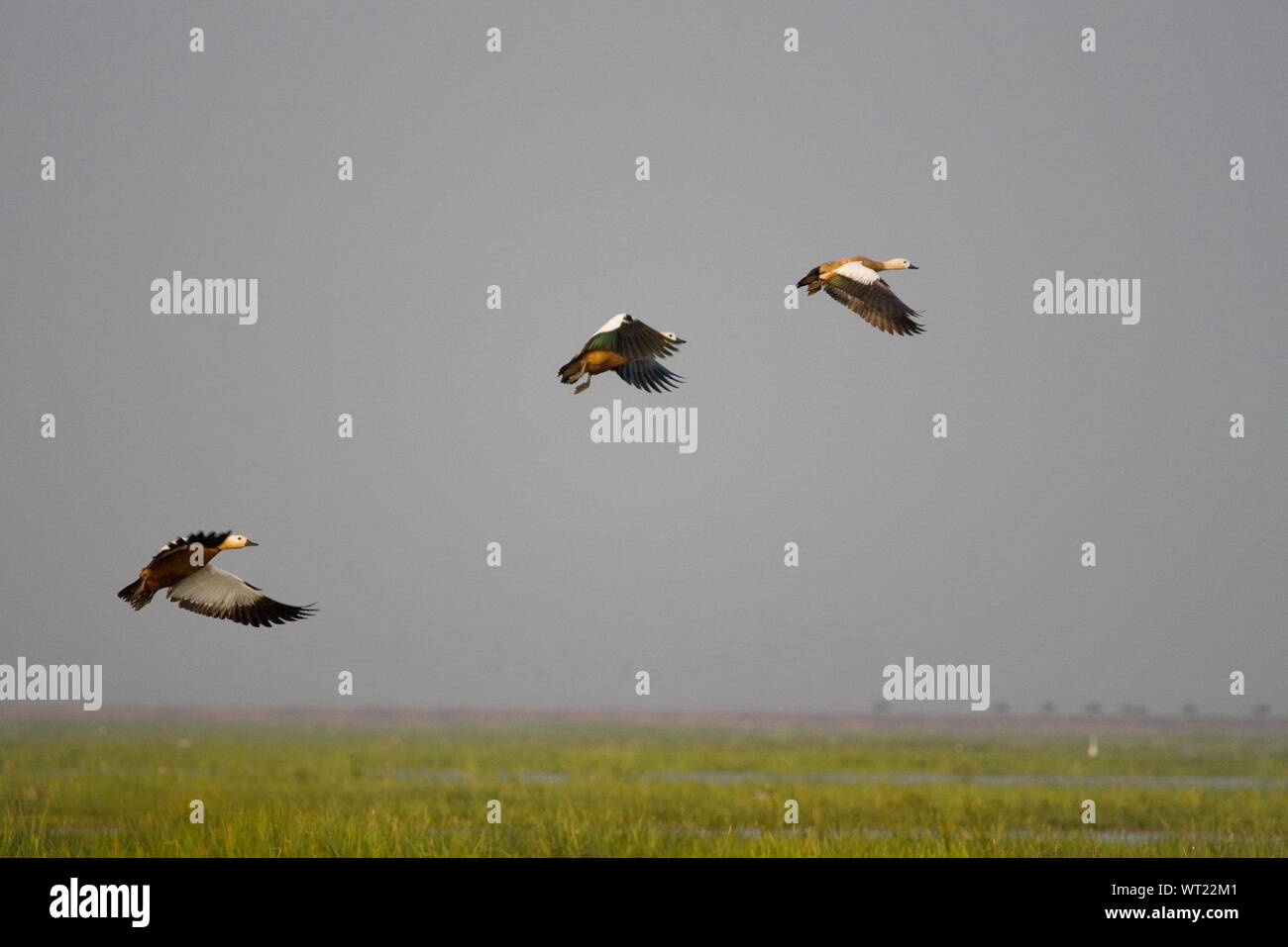 Taking the angle of view hi-res stock photography and images - Alamy