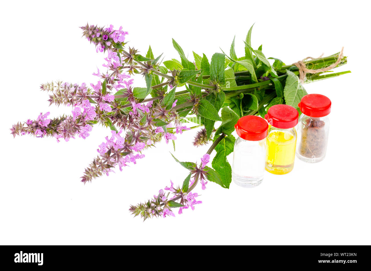 Pharmaceutical tincture, extract of wild herbs, medicinal flowers in ...