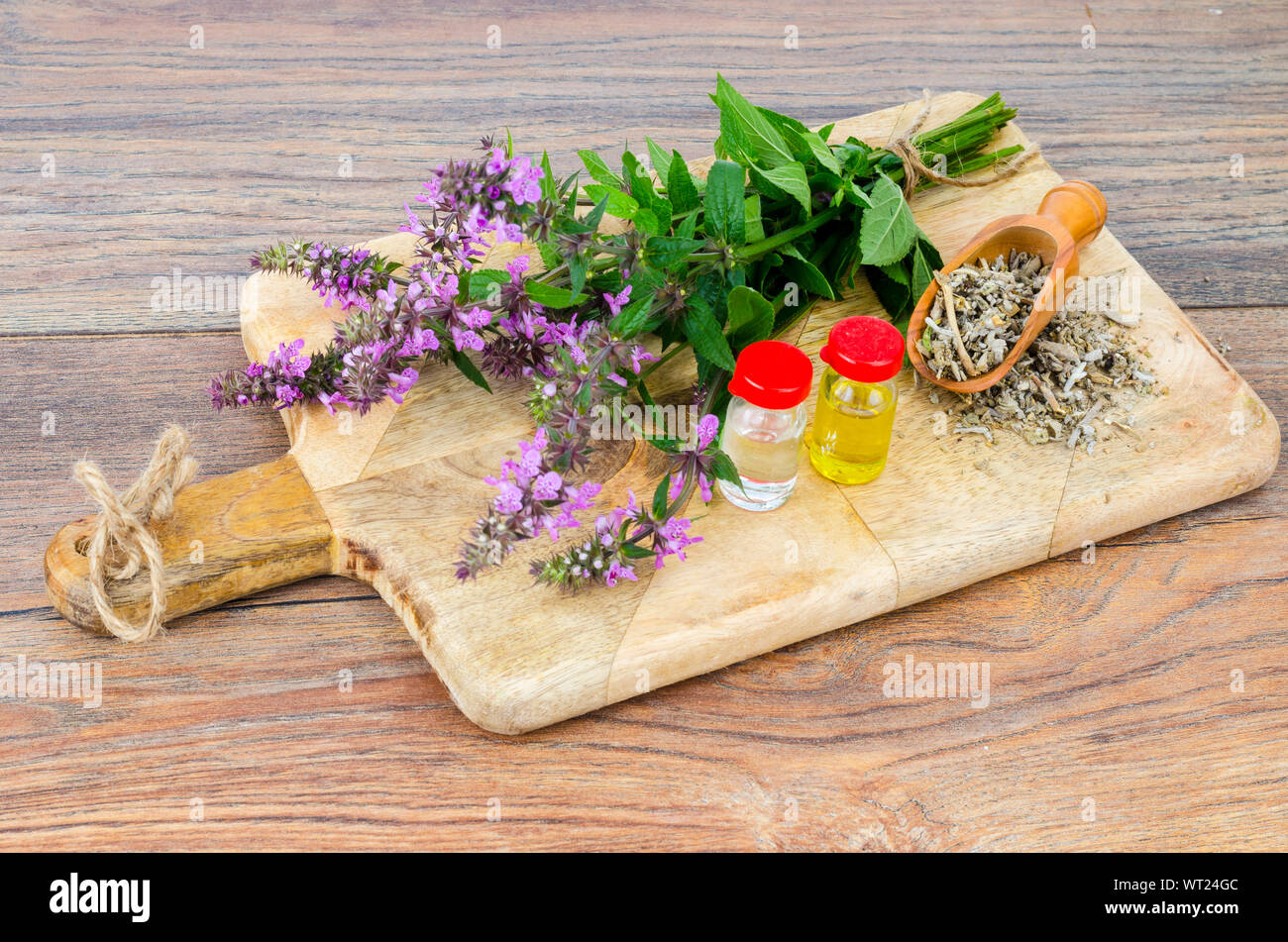 Pharmaceutical tincture, extract of wild herbs, medicinal flowers in ...