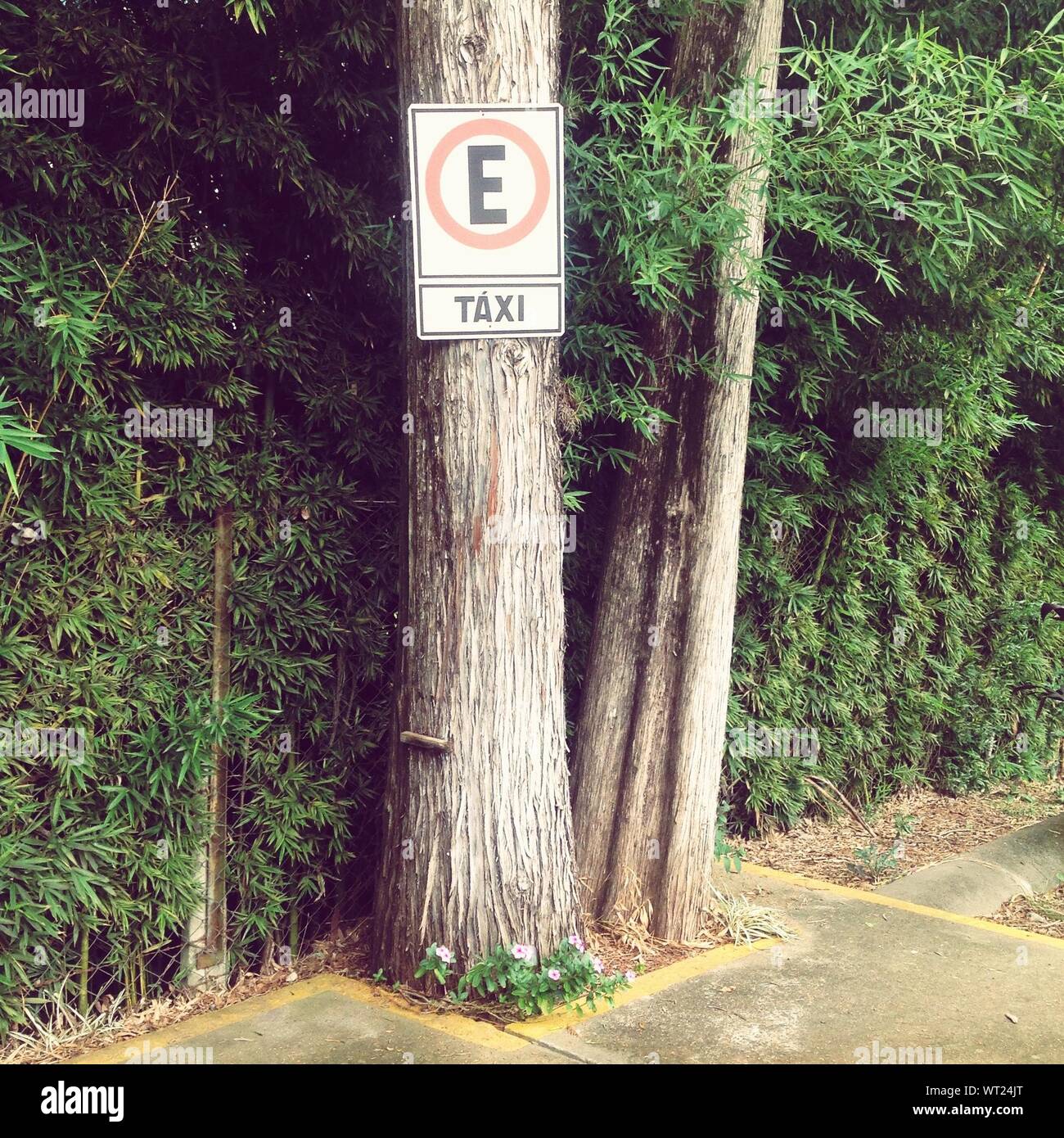 Tree Signboard High Resolution Stock Photography and Images - Alamy
