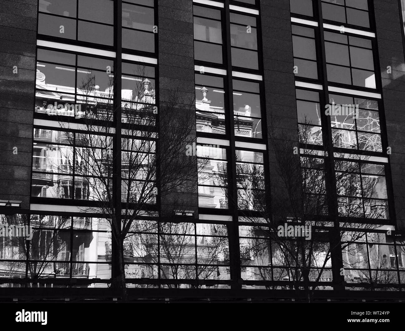 Office building tree hi-res stock photography and images - Alamy