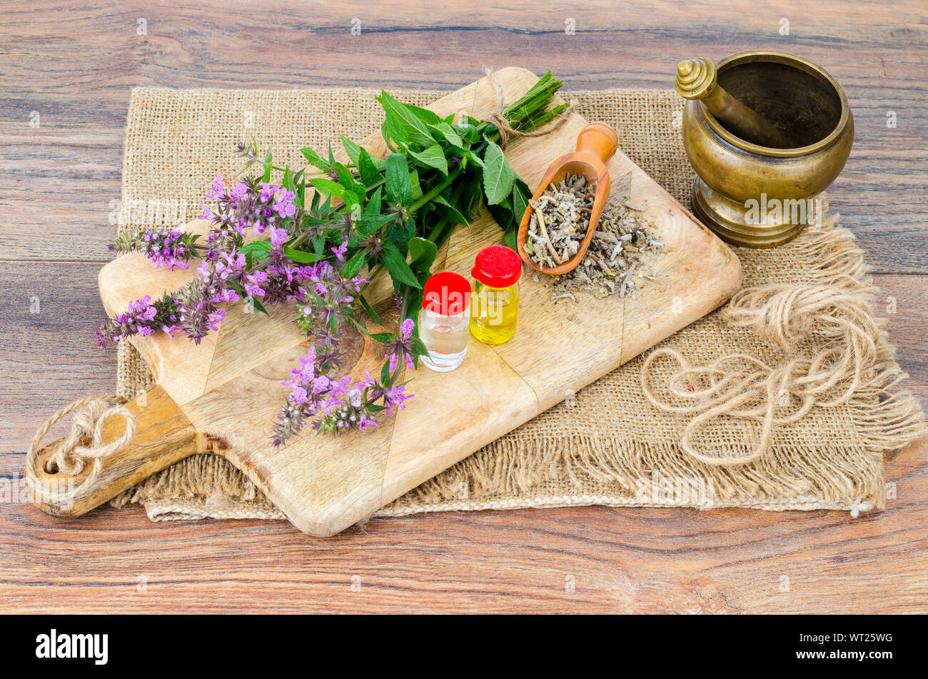 Pharmaceutical tincture, extract of wild herbs, medicinal flowers in ...