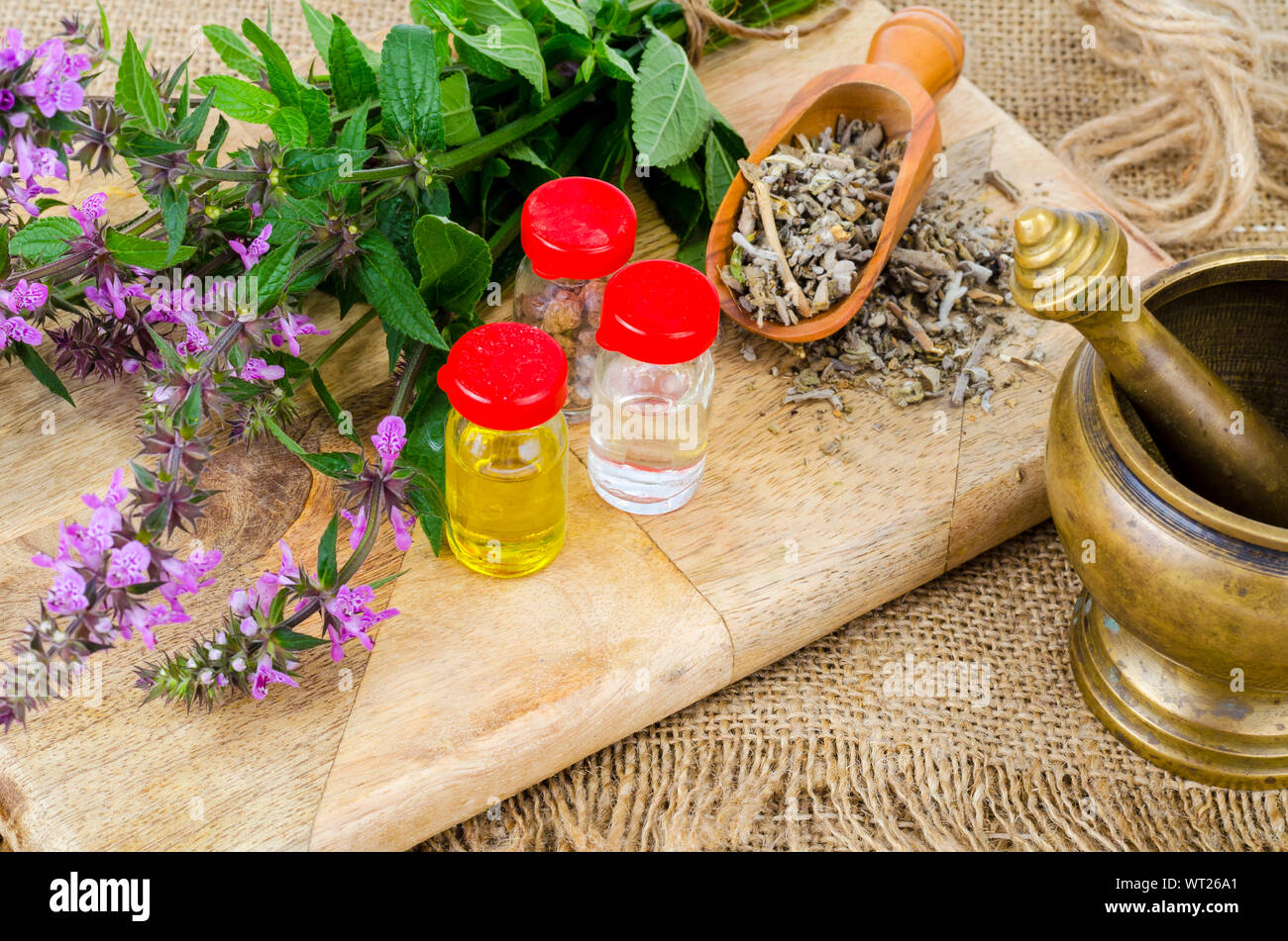 Pharmaceutical tincture, extract of wild herbs, medicinal flowers in ...