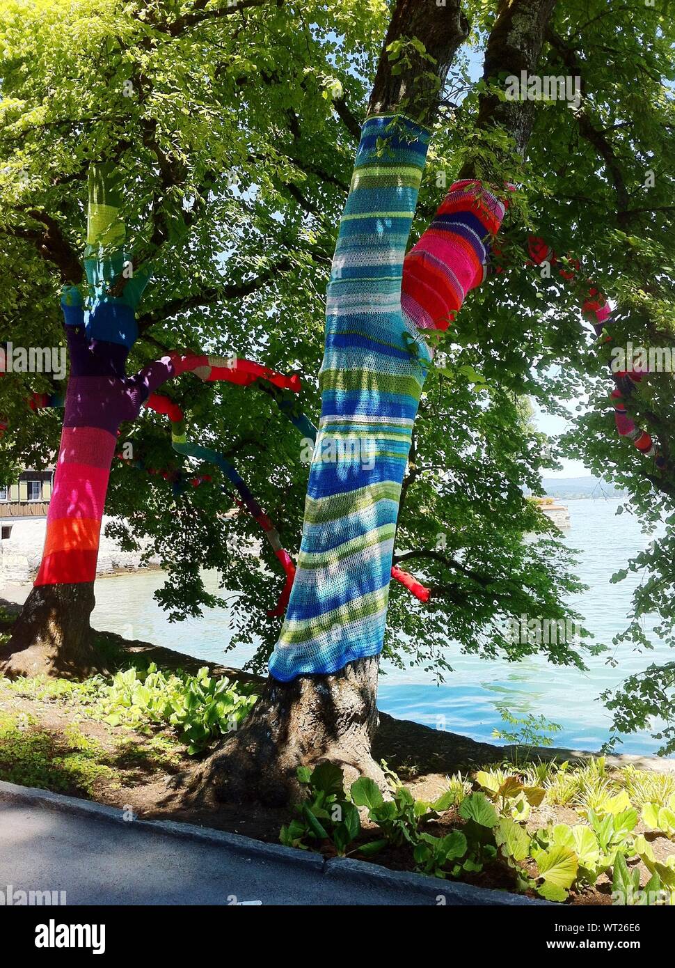 Fabric covered tree hi-res stock photography and images - Alamy