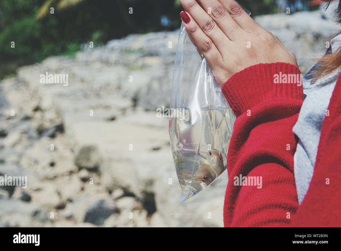 Two plastic bag hi-res stock photography and images - Alamy