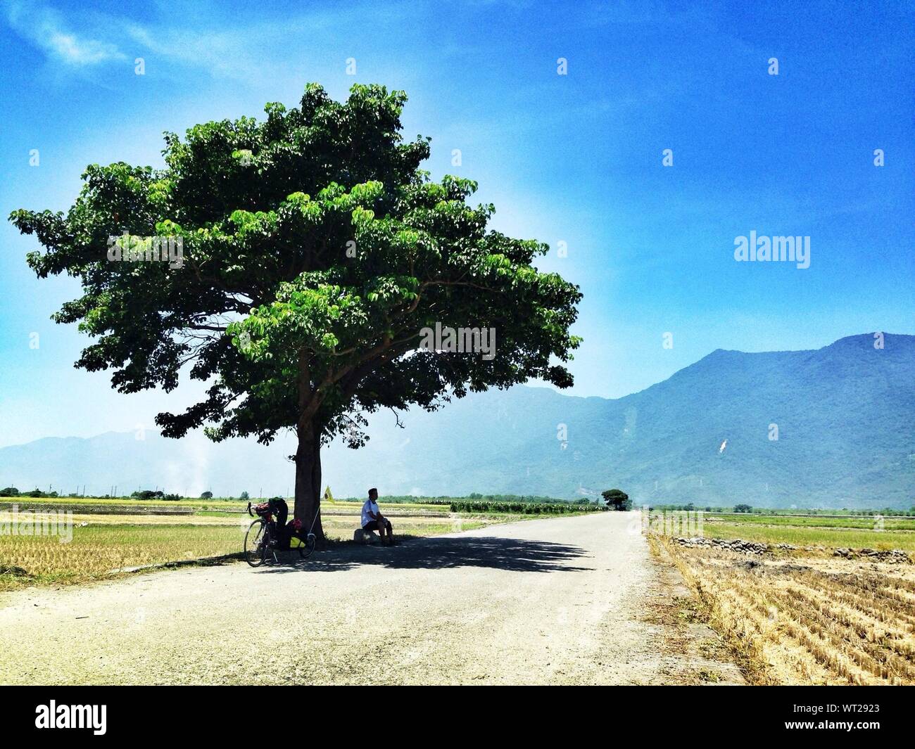 Man sitting under tree hi-res stock photography and images - Alamy