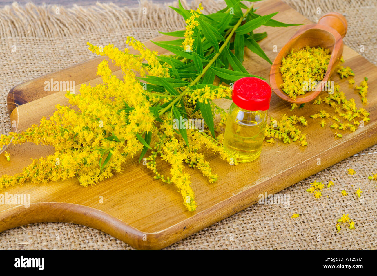 Pharmaceutical tincture, extract of wild herbs, medicinal flowers in ...
