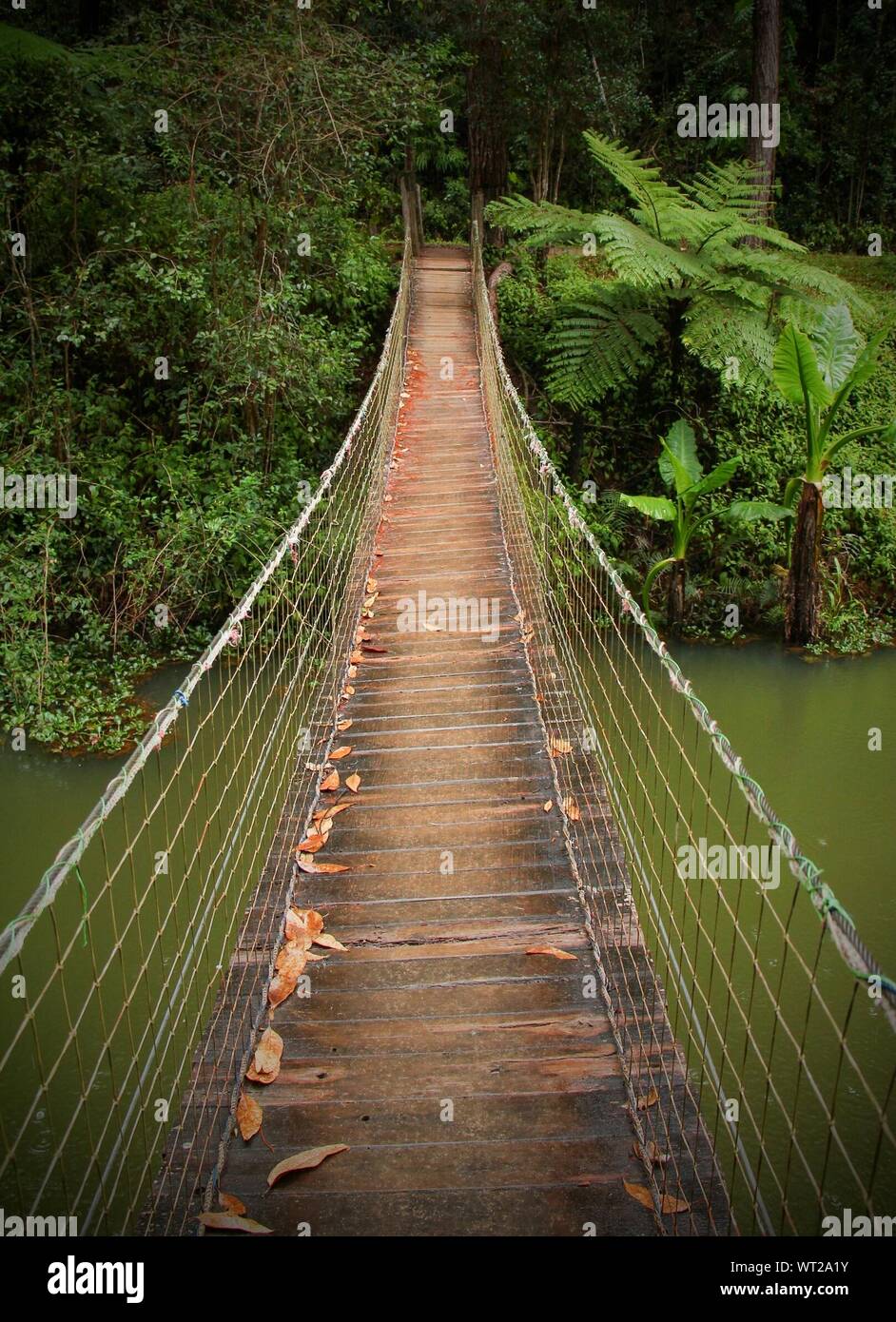 Rope bridge hi-res stock photography and images - Alamy