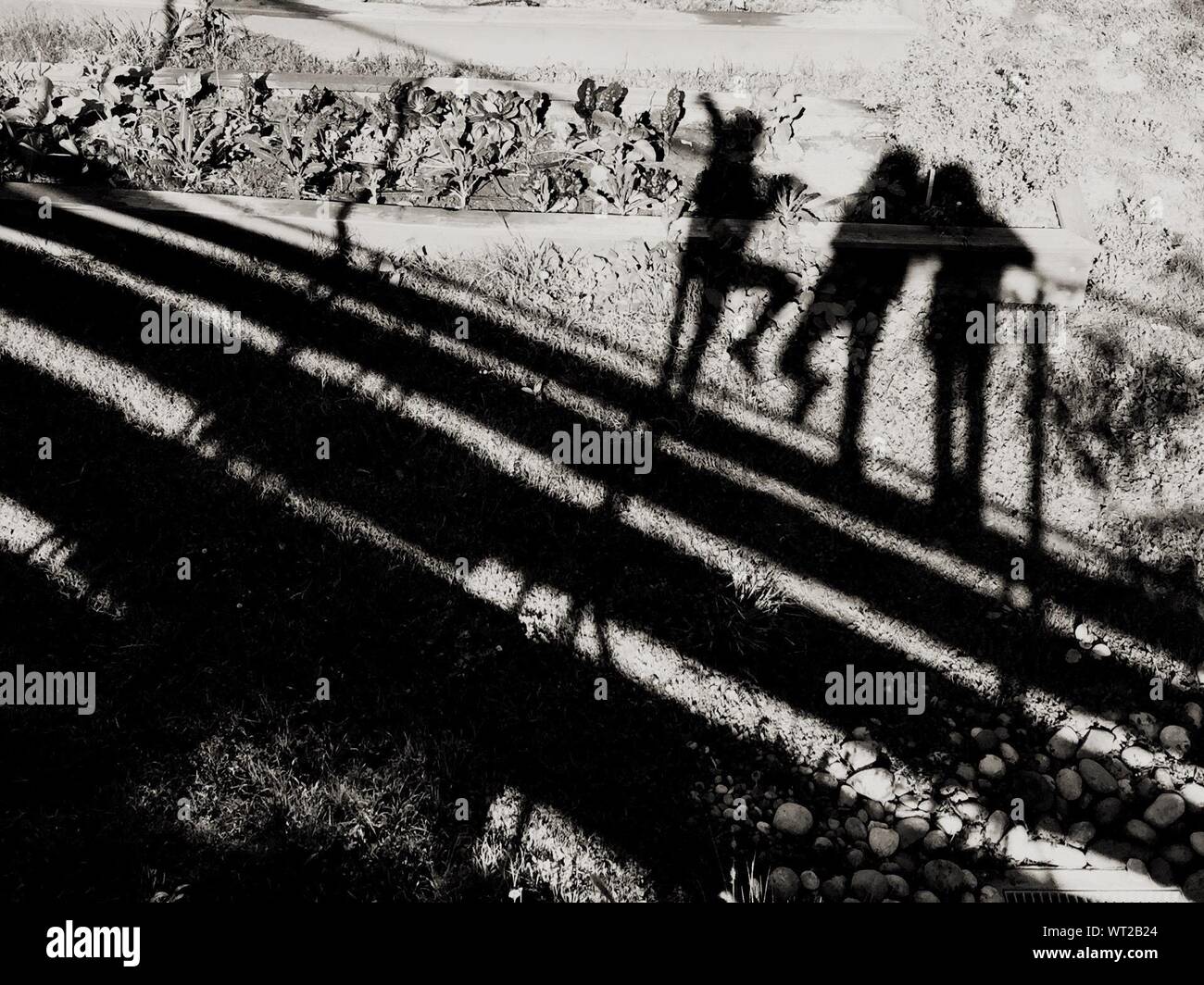 Girls shadow hi-res stock photography and images - Alamy